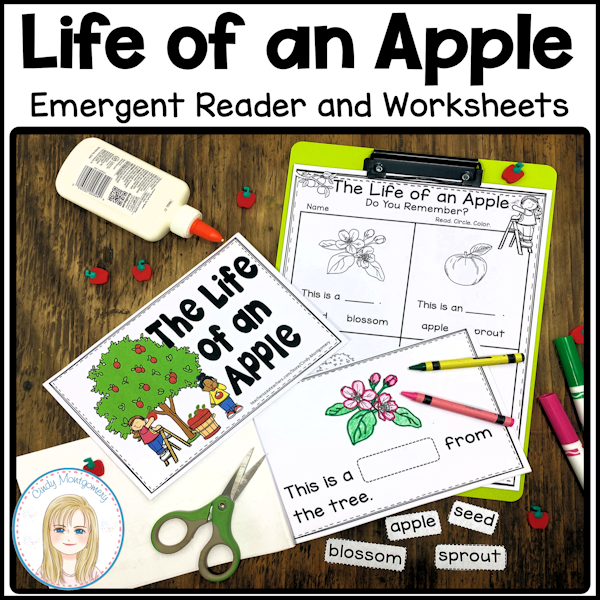 Life Cycle of an Apple Printables and Activities | Every Day Is The Weekend