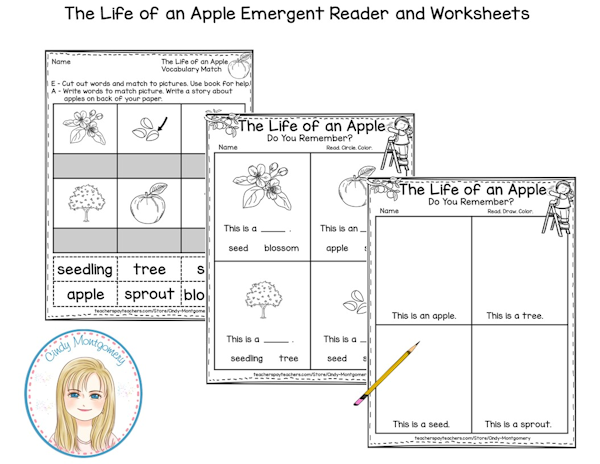 Life Cycle of an Apple Printables and Activities | Every Day Is The Weekend