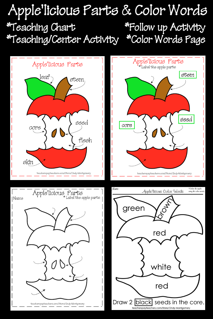 Apple'licious Activities: Parts of an Apple & Color Words | Every Day ...