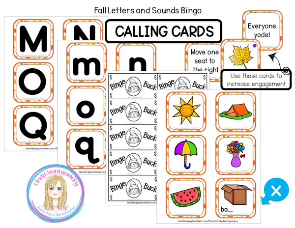 Letters and Sounds Bingo | Every Day Is The Weekend