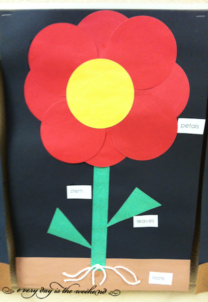 Spring Activities for Kindergarten and First Grade | Every Day Is The ...