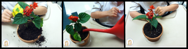 Spring Activities for Kindergarten and First Grade | Every Day Is The ...