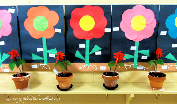 Spring Activities for Kindergarten and First Grade | Every Day Is The ...